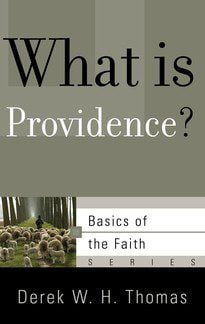 What is Providence? - Christian Bookshop